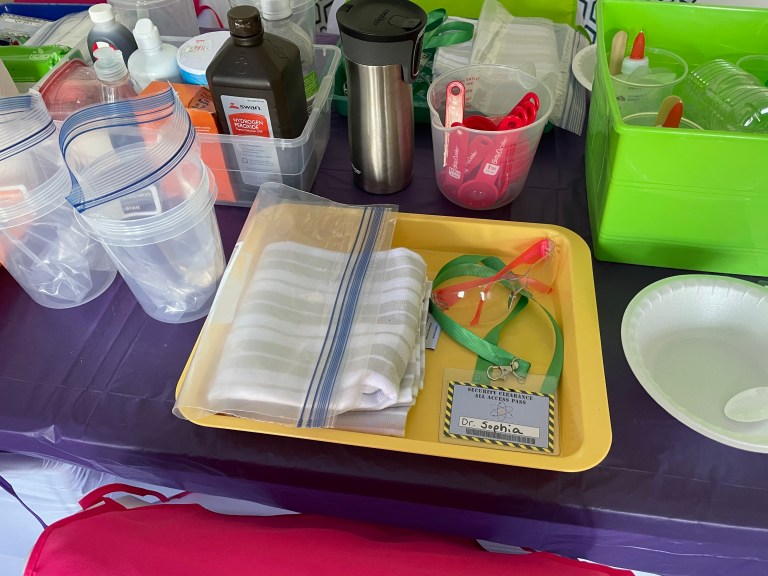 Mad Science Birthday Party (STEM + Glow Lab Theme) – Science ...